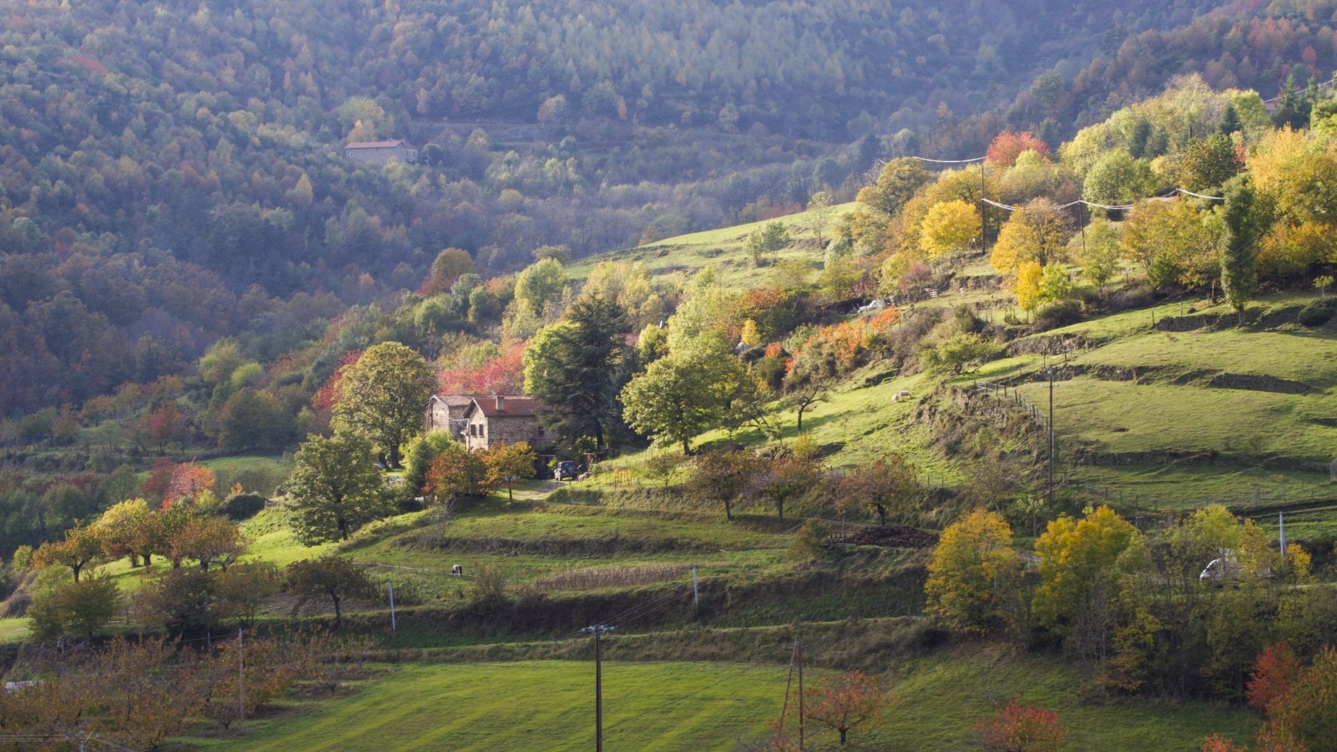 Pays de Saint Félicien (Ardèche verte) - Le Futur a besoin des terroirs